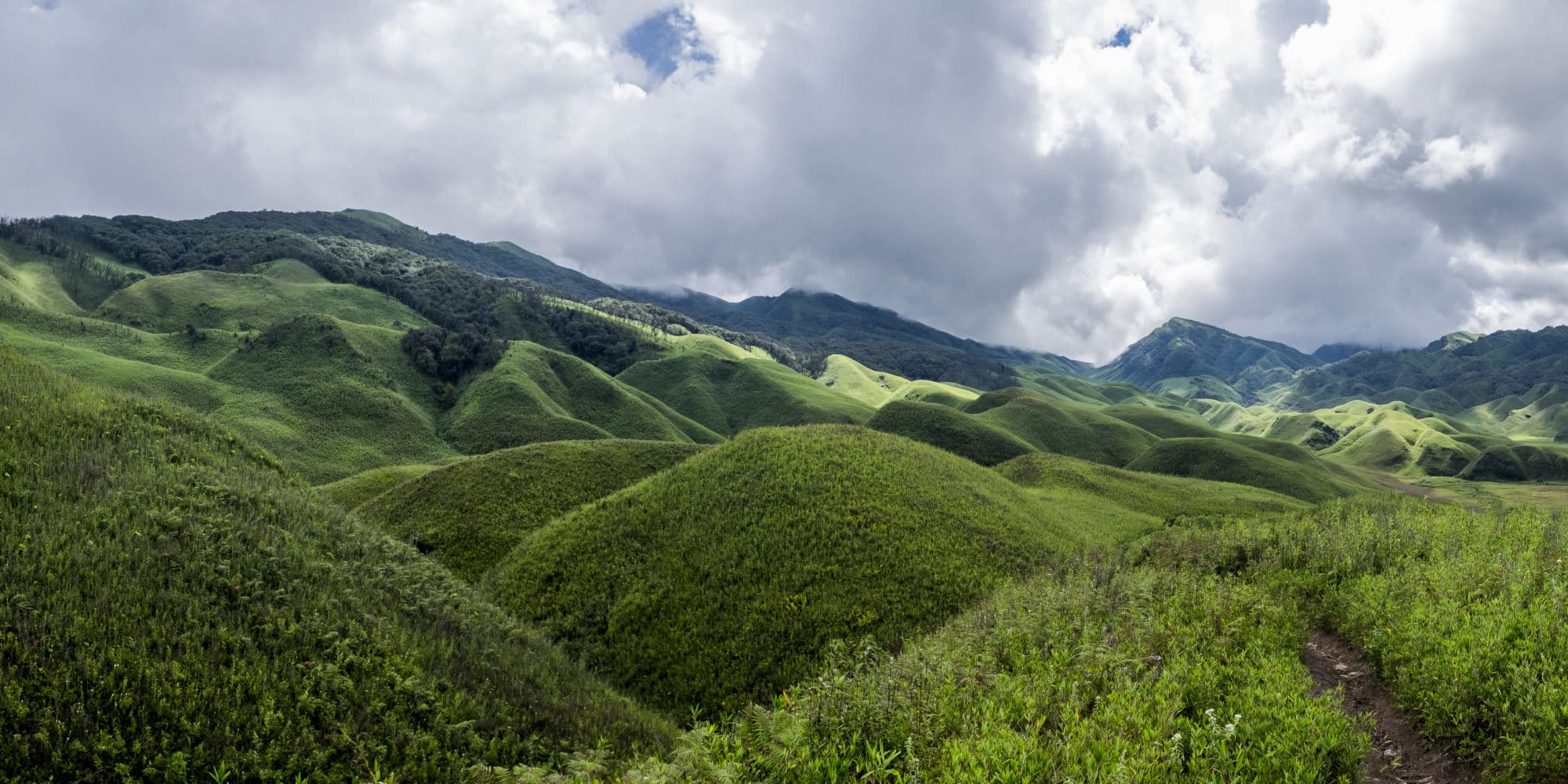 Dzükou Valley; Nagaland's Surreal Dreamscape | The reDiscovery Project