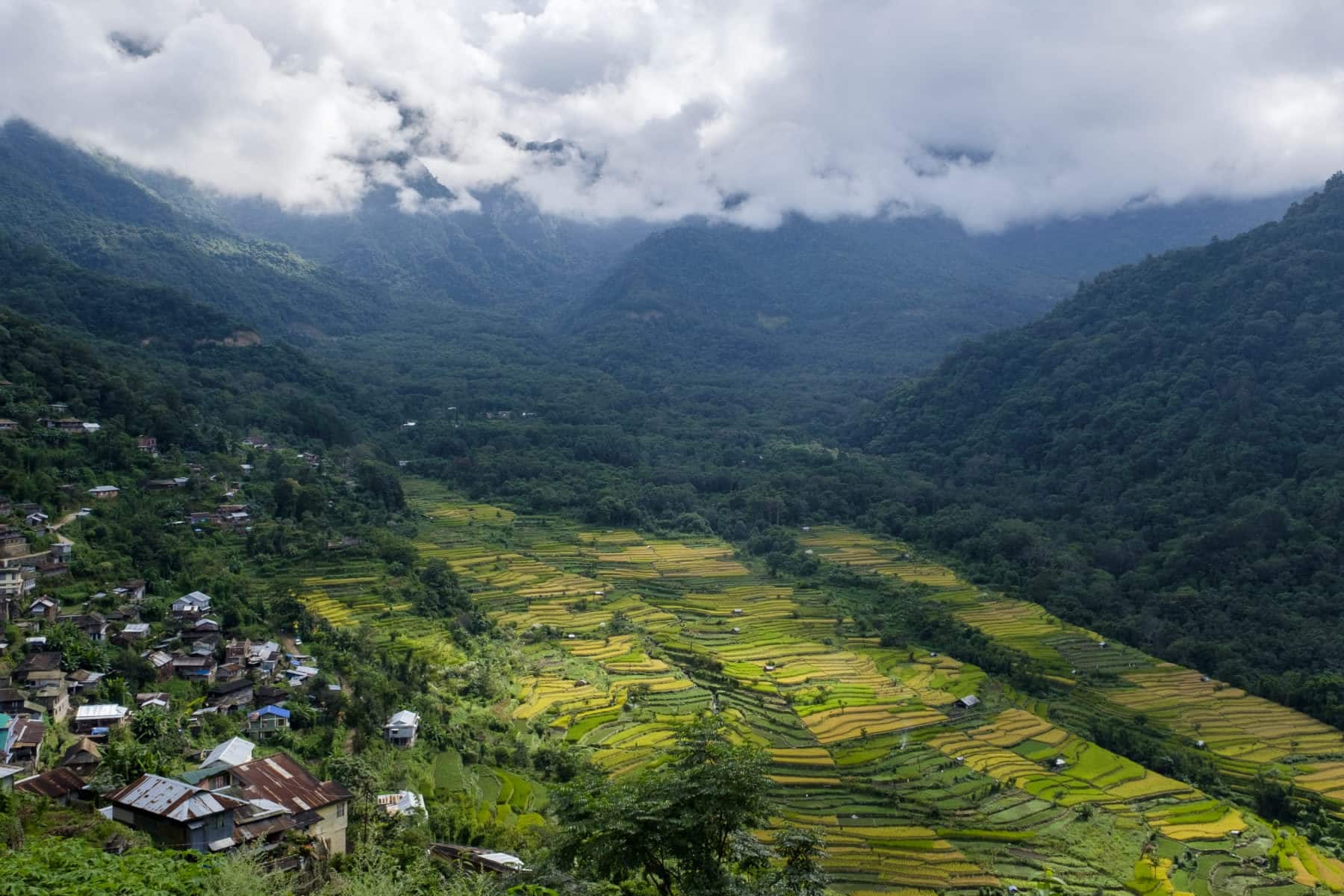 Our First Taste Of Nagaland The ReDiscovery Project